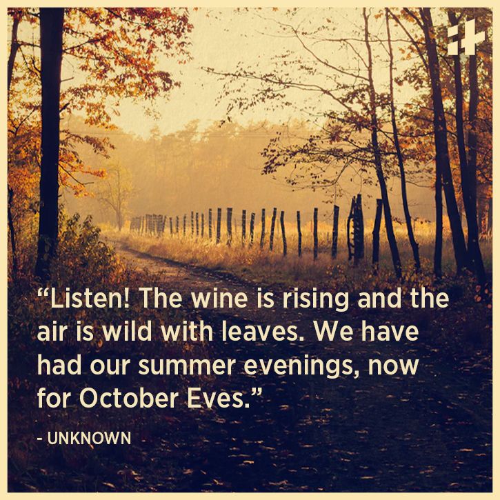 These Beautiful Lines Are Exactly Why We're In Love With October