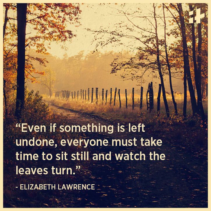 These Beautiful Lines Are Exactly Why We're In Love With October