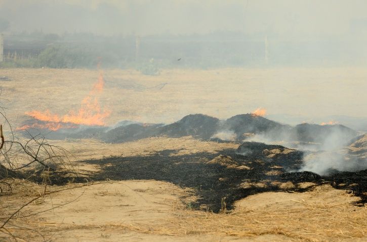 As Yet Another Stubble Burning Season Is Set To Begin, Delhi Is Gearing ...