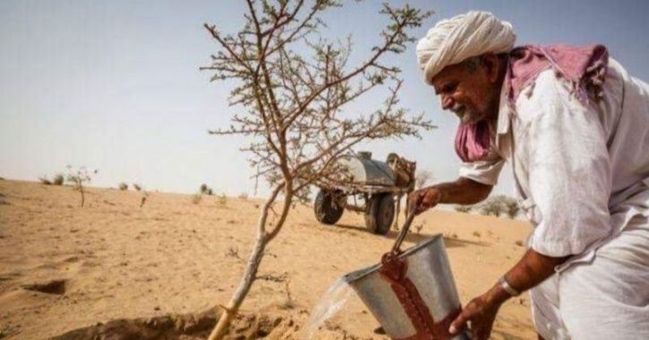 Agents Of Change: Ranaram Bishnoi,75, Has Planted 27,000 Trees In The ...