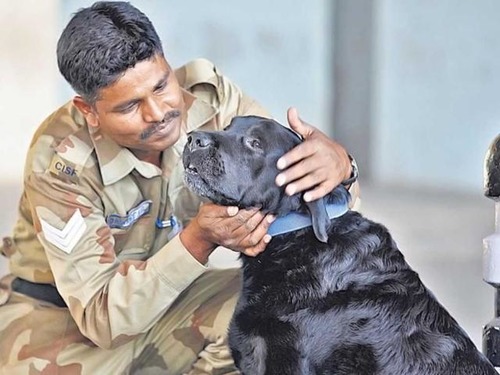 Unsung war heroes: Meet the heroic service dogs of India!