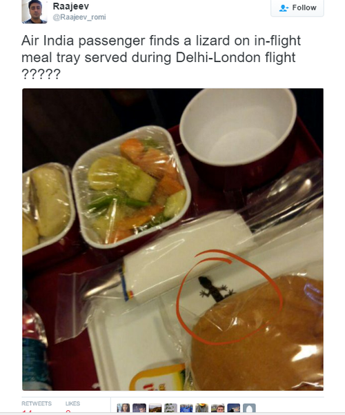 5 Disgusting Things People Found In Their Airline Meals