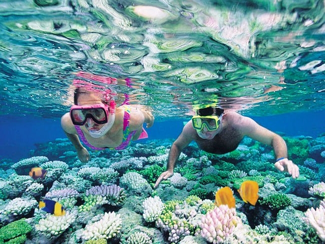 Visit The Great Barrier Reef this New Year