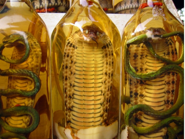 Strange Foods From Around the World | Healthy Living