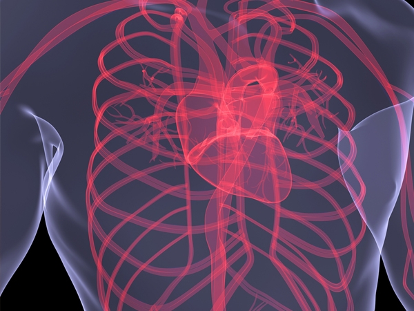 Widowmaker Heart Attack: Why Is It More Dangerous Than Normal Attack ...