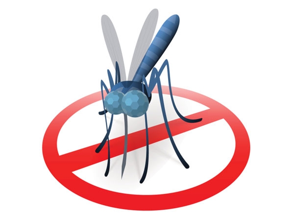 Everthing You Need To Know About Malaria, Prevention And Care | Buzz