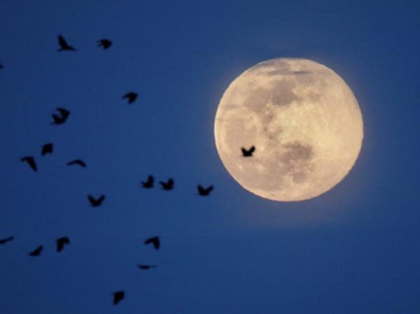 Spectacular Super Pink Moon Photos