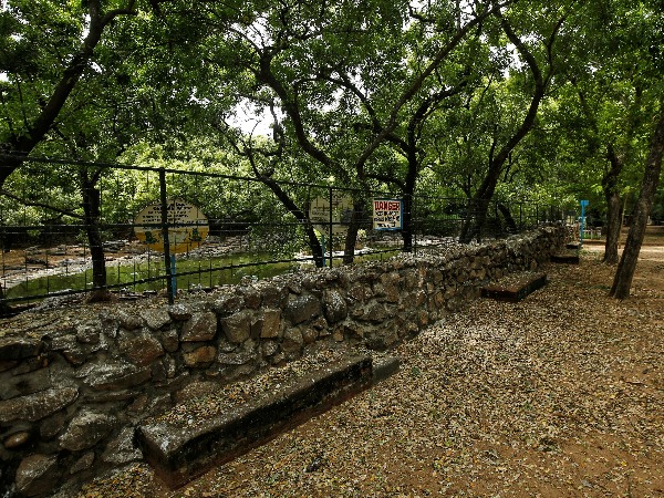 With No Visitors Since March, India's Largest Crocodile Park Is ...