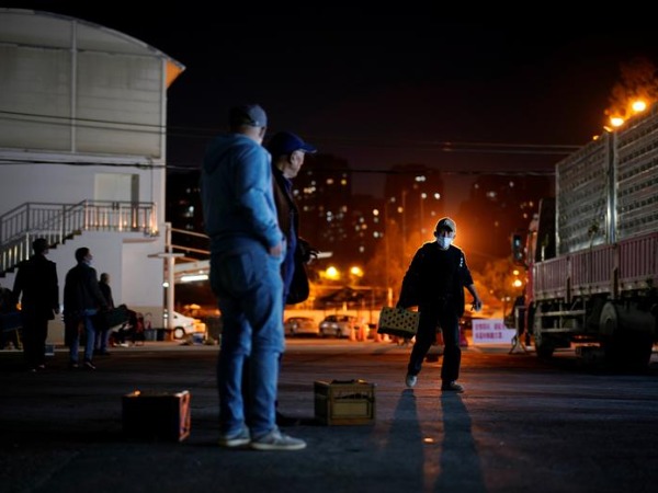 In Pictures: China's Pigeon Fanciers Race For Fame And Fortune