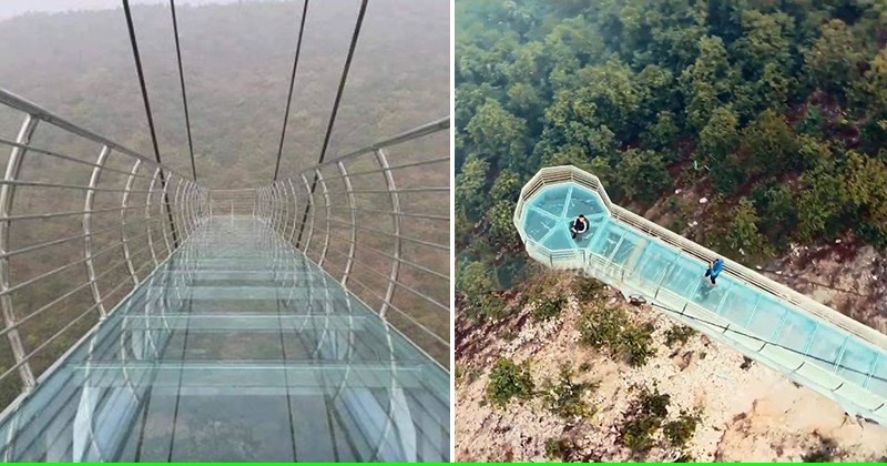 Not London Or Beijing, This Magnificent Glass Skywalk Bridge Has Been ...