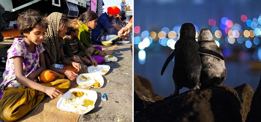 As The Year Ends, Here Are 15 Beautiful Moments Of 2020 That Will Bring ...