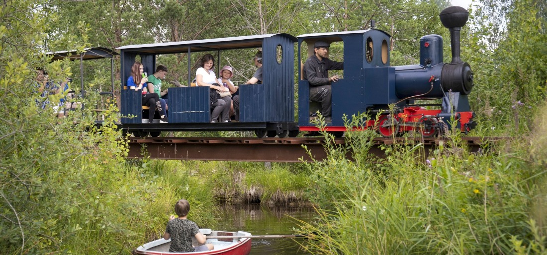 Meet The 62-YO Man Who Created A Personal Steam Train At Home, To ...