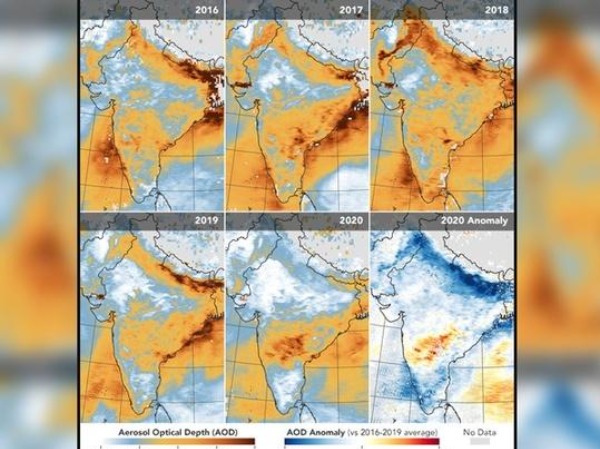 World Environment Day - Lockdown Impact On Nature