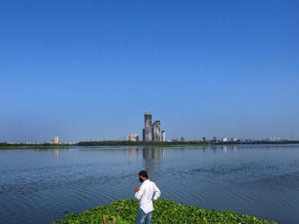 World Environment Day - Lockdown Impact On Nature