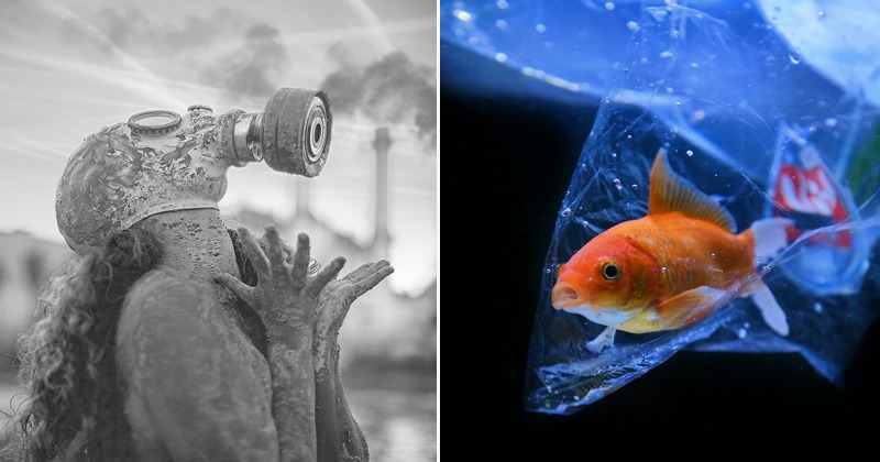 Climate Change: Pictures Show The Devastating Impact Of Global Warming ...