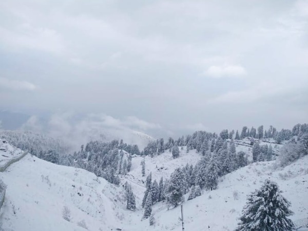 Himachal Pradesh Get Season's First Snowfall