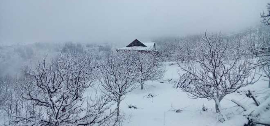Season's First Snowfall Turns Himachal Pradesh's Keylong Into White ...