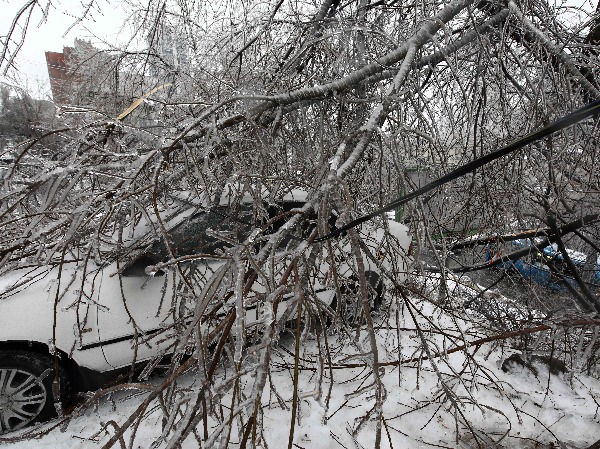 Bone-Chilling Images From Russia's Vladivostok Show The After-Effects ...