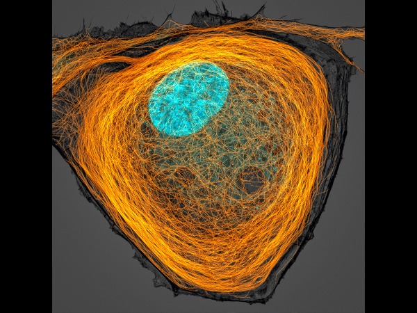 Small Wonders! 15 Of The Most Beautiful Photos From This Year's ...