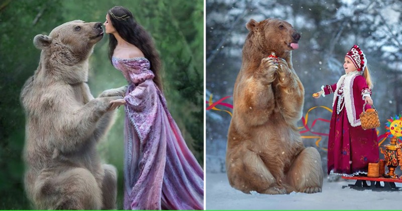 Once Abandoned As A Cub And Raised By Human, This Russian Brown Bear ...