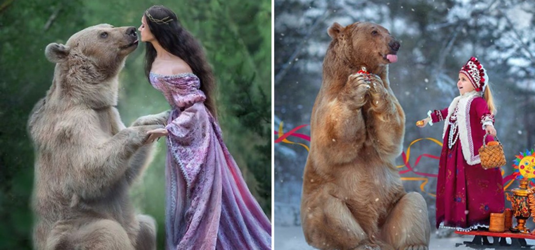 Once Abandoned As A Cub And Raised By Human, This Russian Brown Bear ...