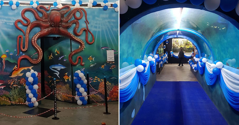 Indian Railways' First Movable Freshwater Tunnel Aquarium Opens At ...
