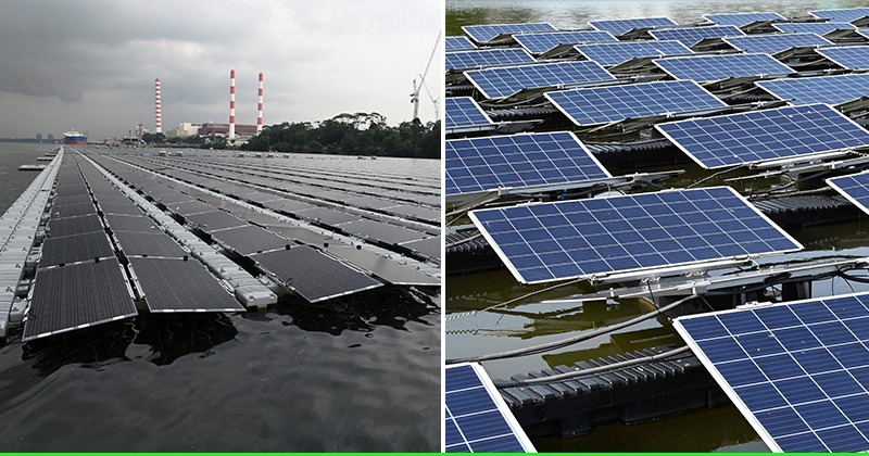 Singapore Builds One Of The Largest Floating Solar Farms To Fight Climate Change