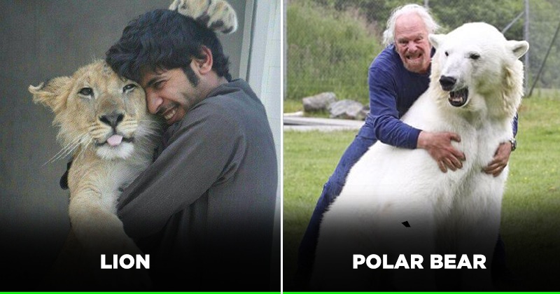 11 Craziest Animals That Actually Owned As A Pet By People