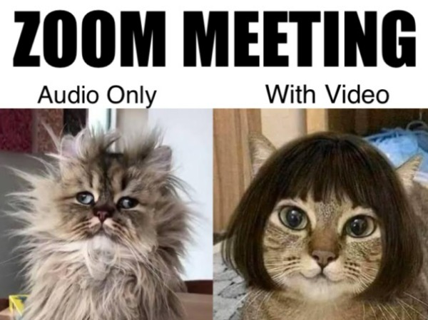 Mohabbatein Gets A Work From Home Viral Twist, And Other Relatable WFH Memes