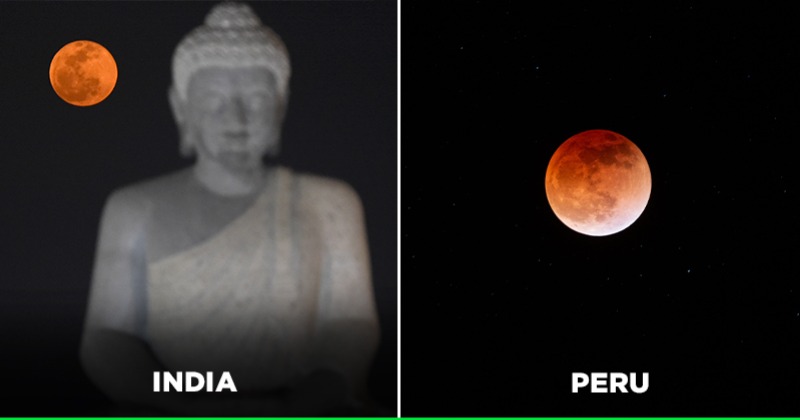 Super Flower Blood Moon Photos