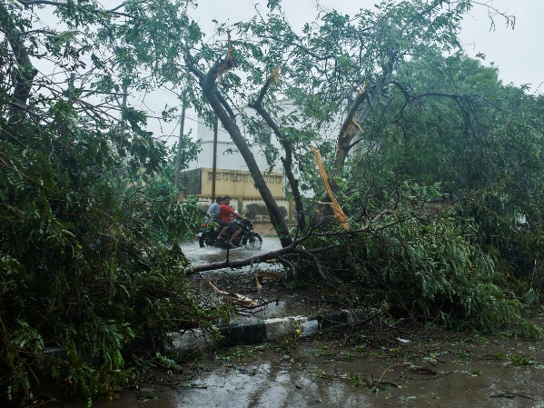 In Pics: How Cyclone Biparjoy Wreaked Havoc In India And Pakistan