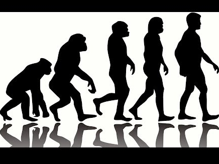Darwin Conspiracy: Is Evolution a Myth?