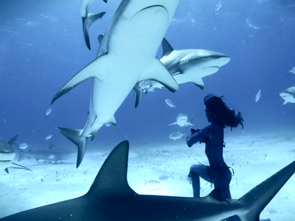 This Woman Loves Dancing With The Stars..Err..Sharks!